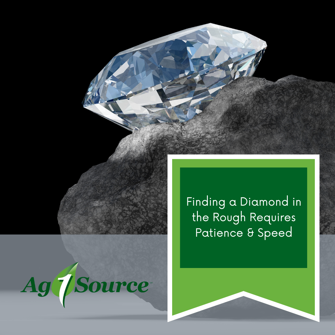 Finding the Diamond in the Rough Requires Patience & Speed - Integra ...